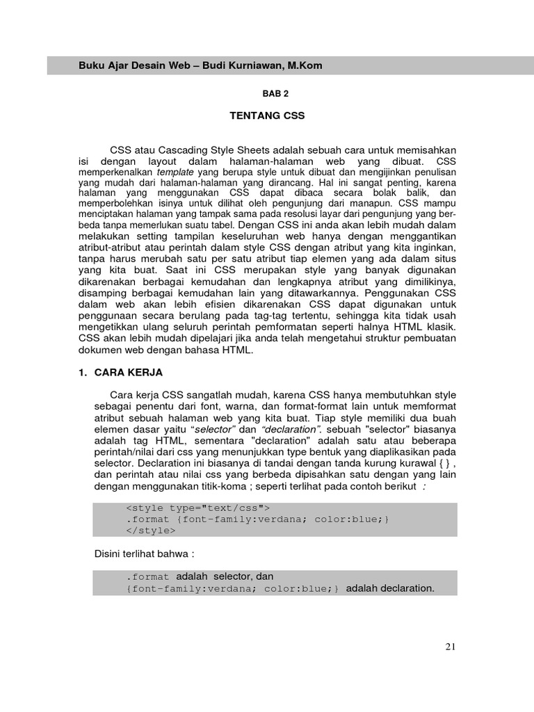 Panduan CSS untuk Desainer Web | PDF