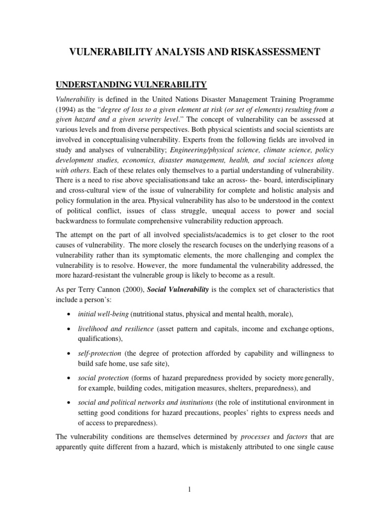 Vulnerability and Risk Assessment Insights | PDF | Risk | Risk Assessment