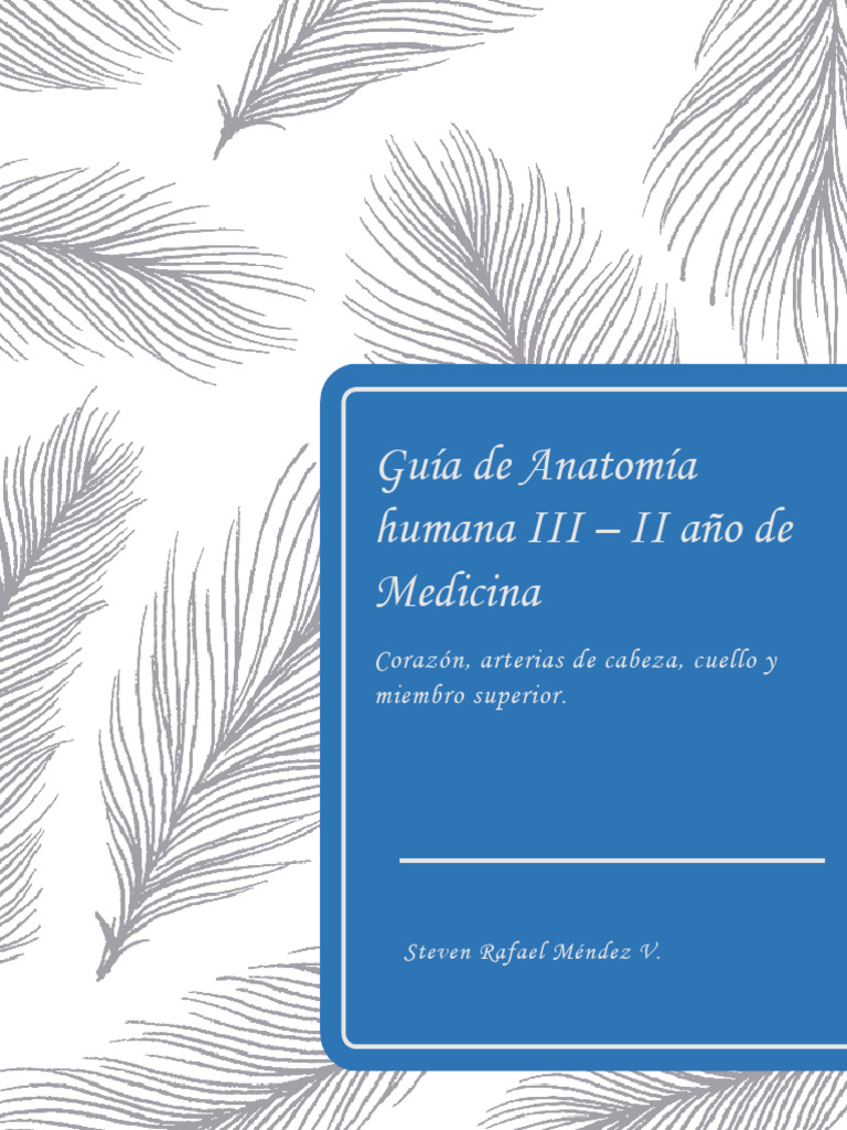 GUIA ANATOMIA III - Corazón y Arterias de Cabeza, Cuello y Miembro ...