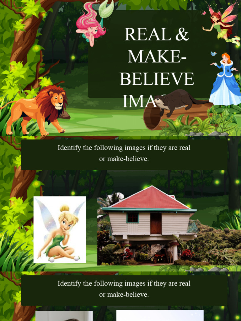 Real vs. Make-Believe Image Guide | PDF