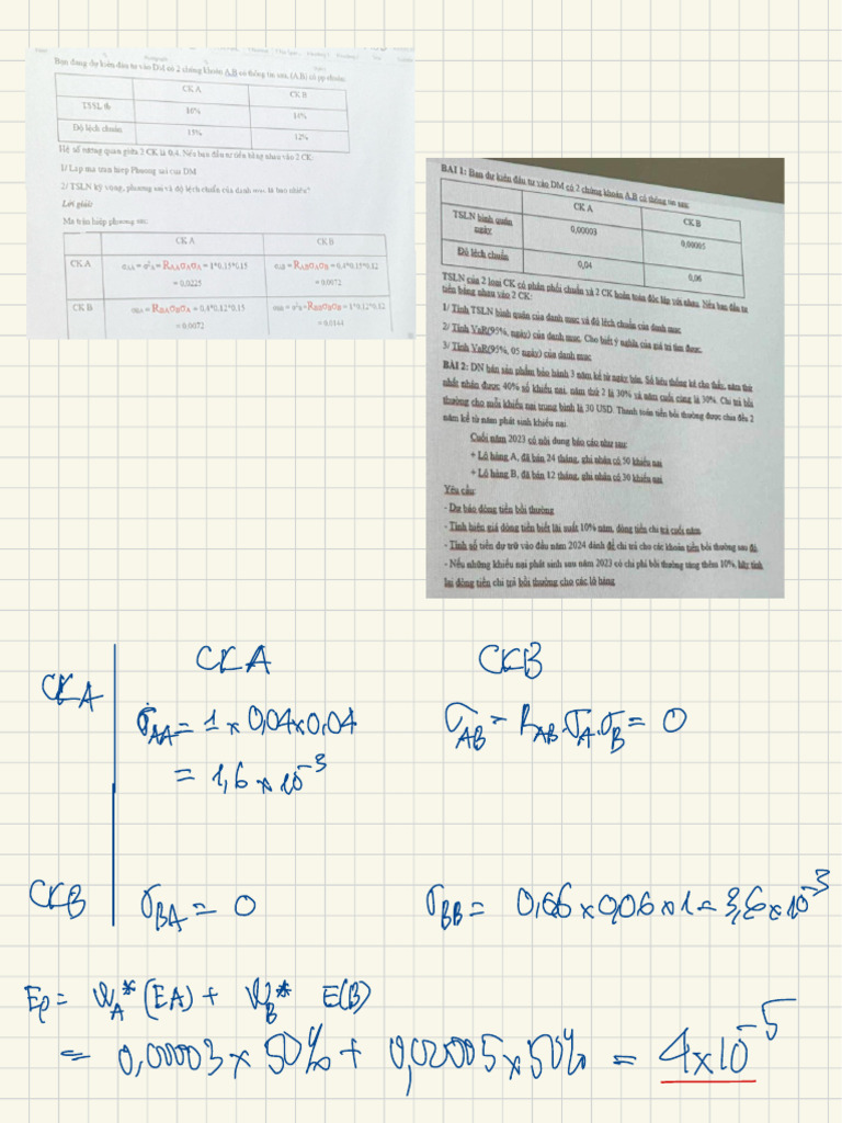 Financial Calculations and Projections | PDF