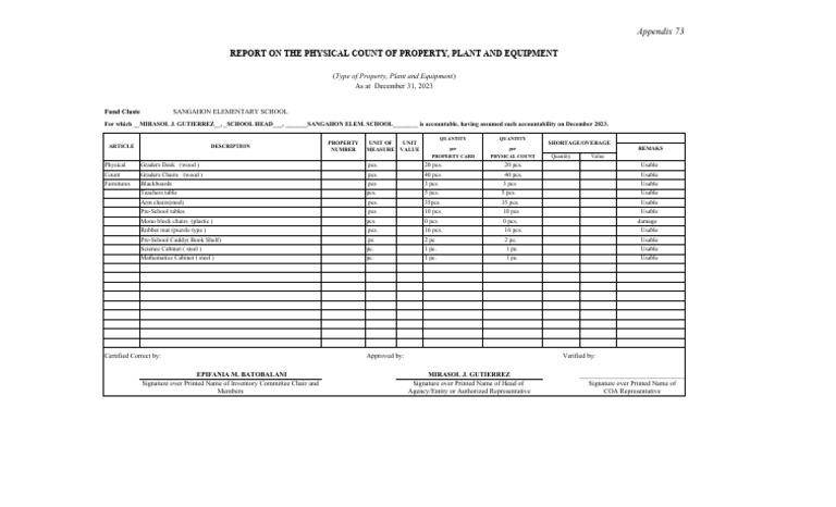 Appendix 73 RPCPPE | PDF
