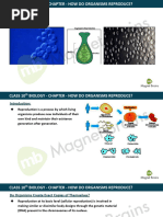 Class 10 Science How Do Organisms Reproduce Notes | PDF