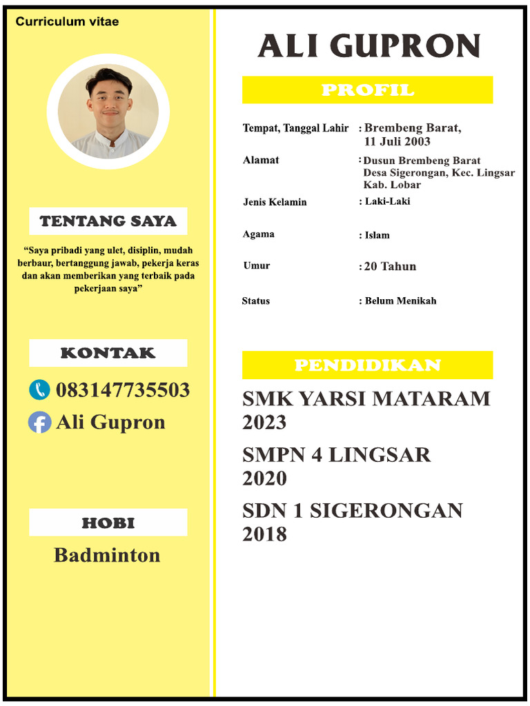 CV Ali Gupron-1 | PDF