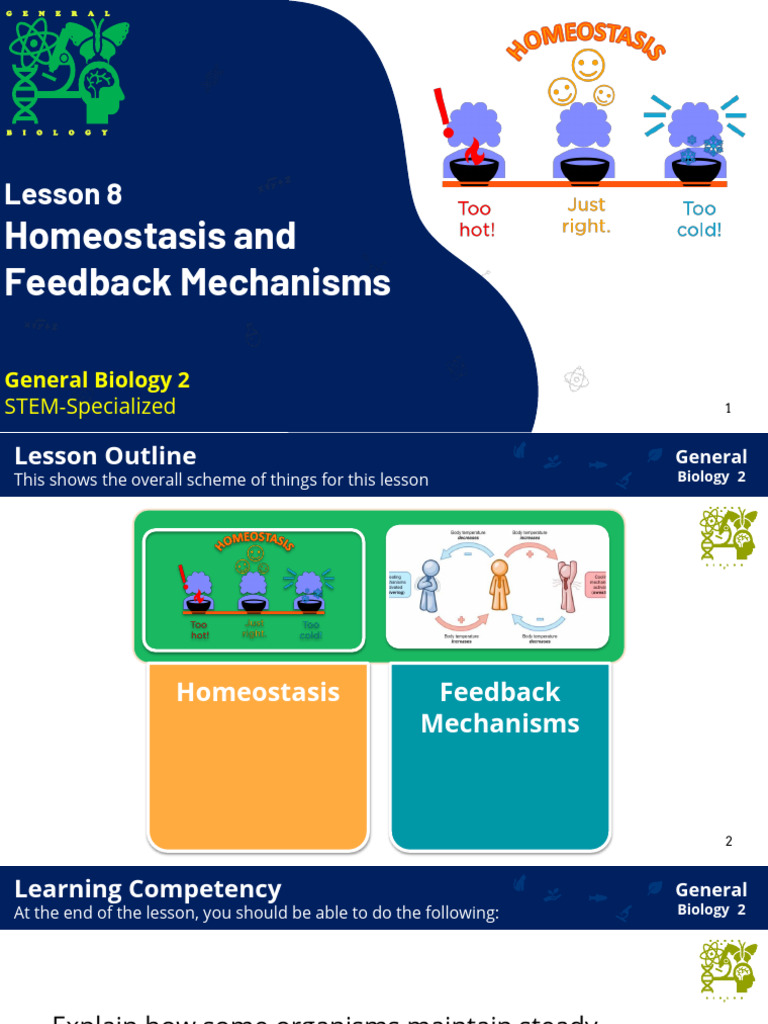 Homeostasis & Feedback for STEM | PDF | Homeostasis | Hypothalamus