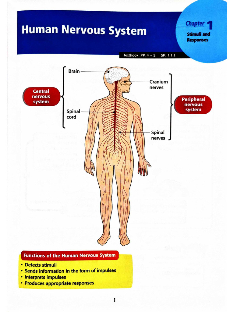Short Notes Form 3 Science (Chapter 1 - 10) | PDF
