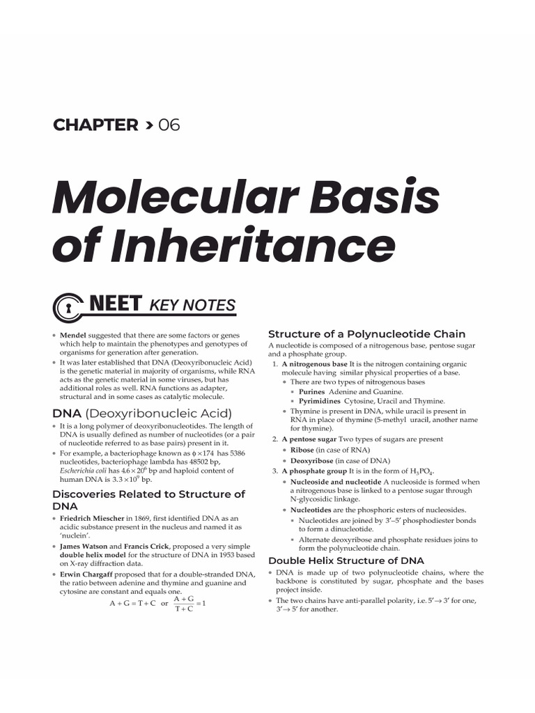 Molecular Basis of Inheritance | PDF