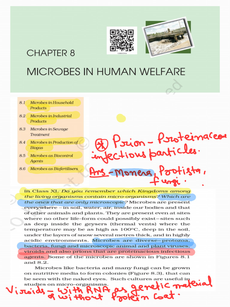 Microbes 1 | PDF