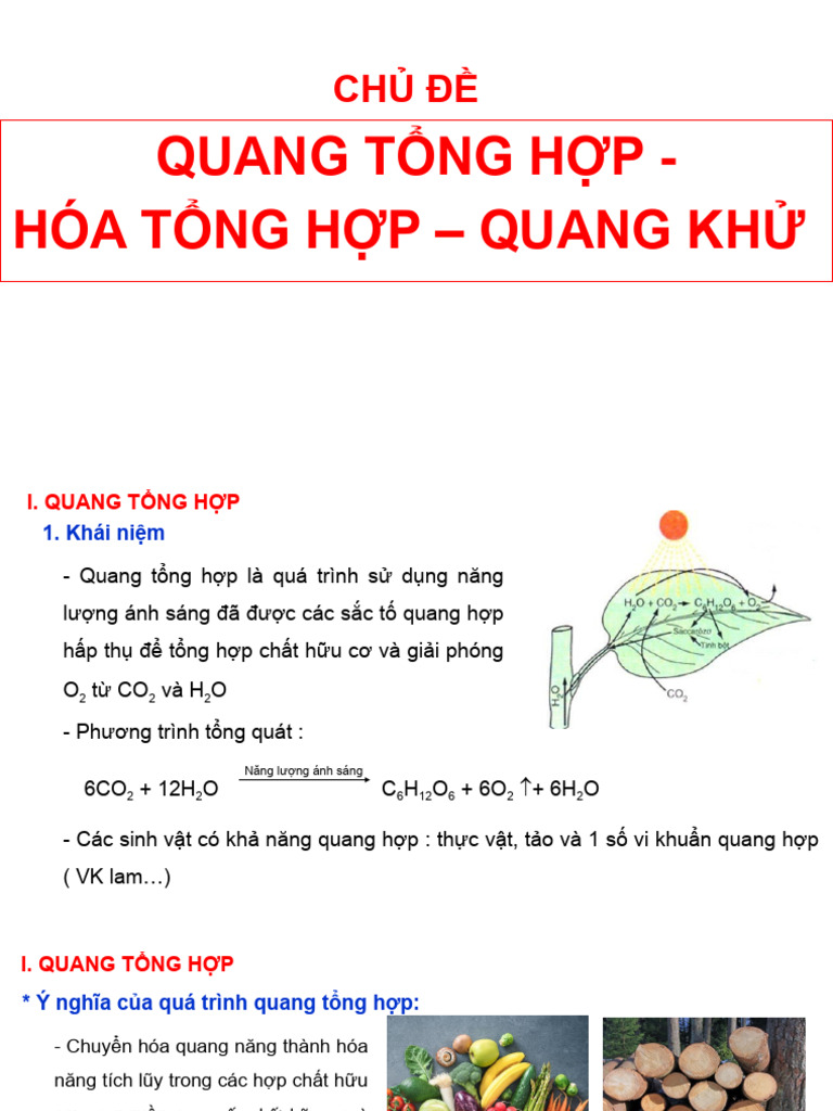 10a4 - Quang Hop | PDF