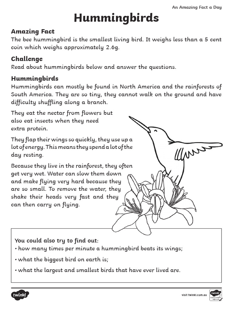 Au L 53393 Hummingbird Comprehension Activity Sheet English | PDF ...