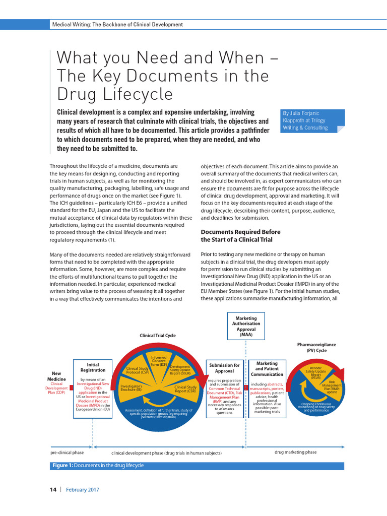 33 - What You Need and When - The Key Documents in The Drug Lifecycle ...