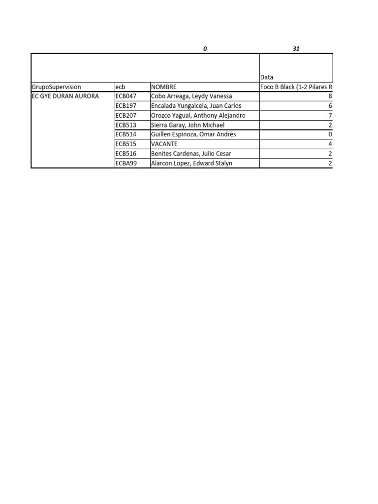 Grupo Supervision Data Overview | PDF