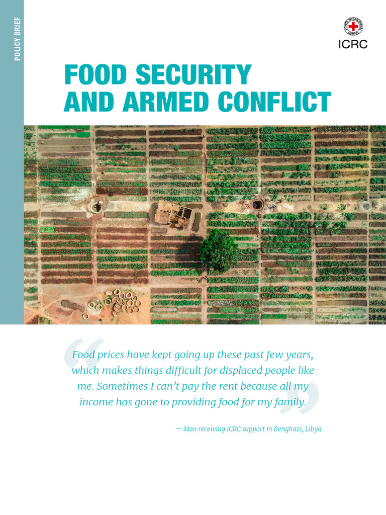 Addressing Food Insecurity in Conflict | PDF | Cost Of Living | Food ...