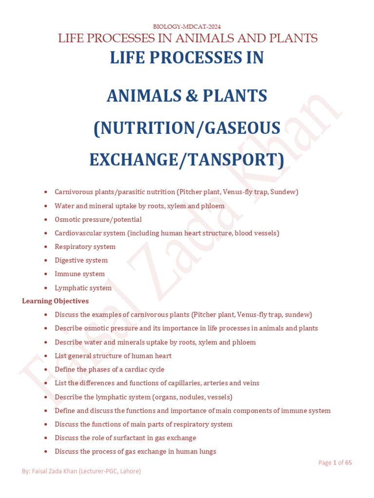 Life Processes in Plants & Animals | PDF | Heart Valve | White Blood Cell