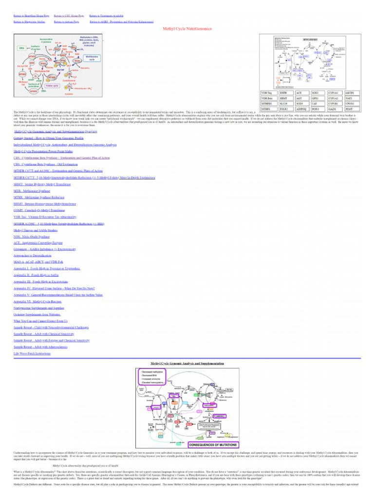 Methyl Cycle Nutri Genomics | PDF
