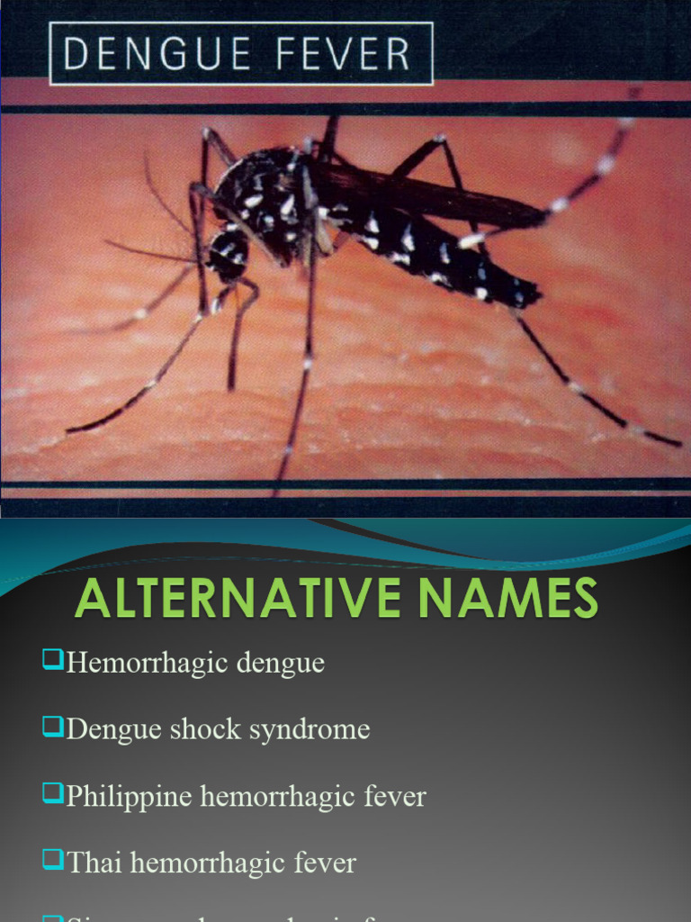 Dengue | PDF | Fever | Diseases And Disorders