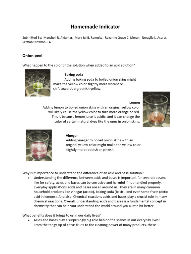 Chem Group Act Homemade Indicator | PDF | Acid | Sodium Bicarbonate