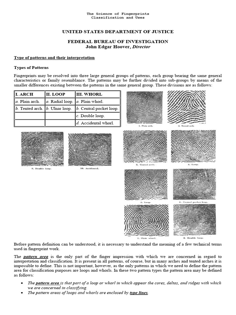 SUMMARY The Science of Fingerprints Hoover | PDF | Fingerprint | Hand