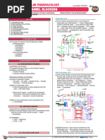 BLS Powerpoint | PDF | Cardiopulmonary Resuscitation | Medical Treatments