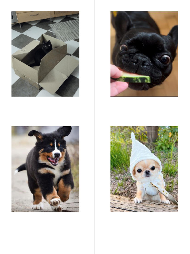 Pets - Harder Paper | PDF