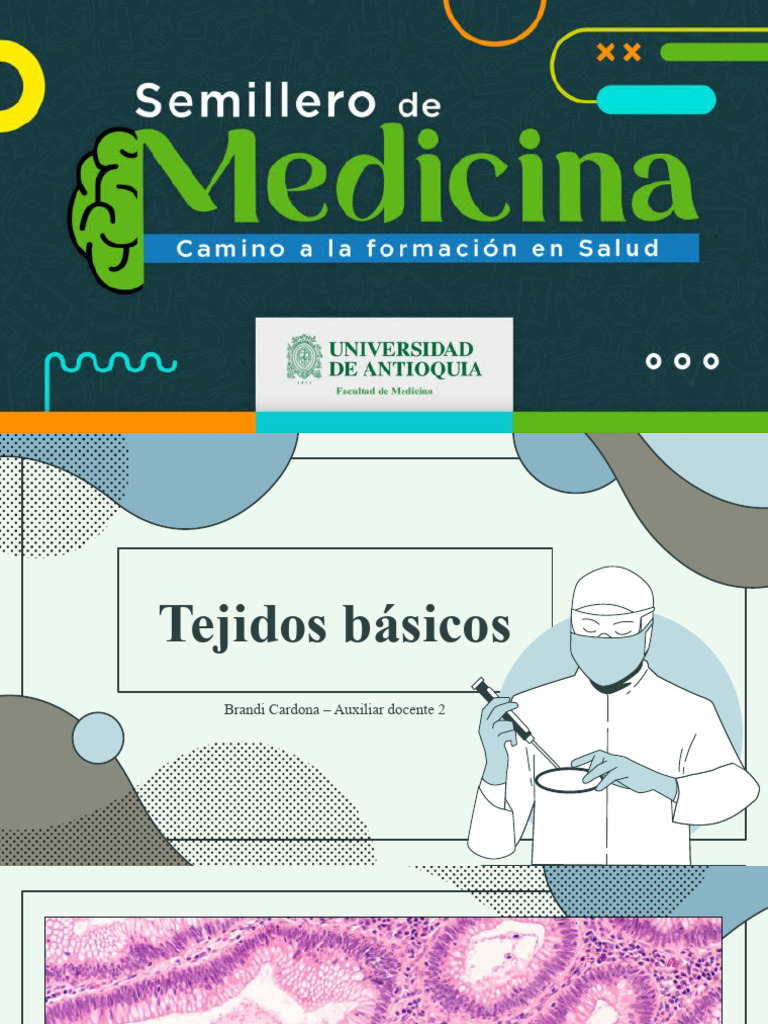 Tejidos Básicos | PDF | Epitelio | Músculo