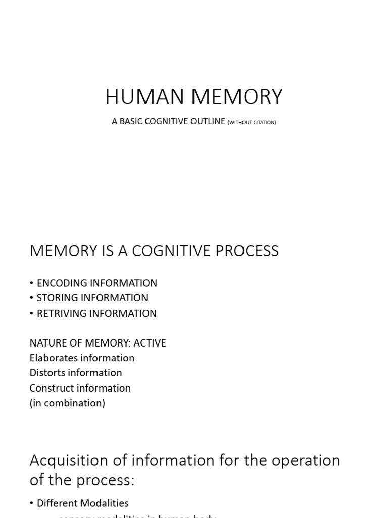 Human Memory Pdf Memory Long Term Memory