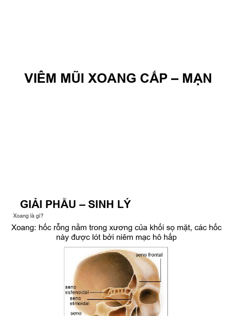 Viêm Mũi Xoang | PDF