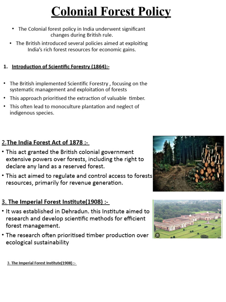 Colonial Forest Policy | PDF