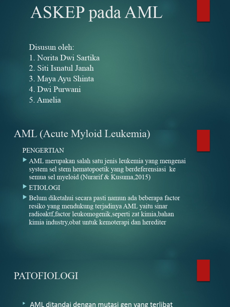 ASKEP Pada AML Power Point Final | PDF