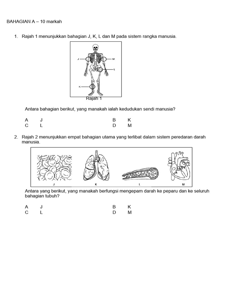 Aupsa Sains T5 2024 | PDF