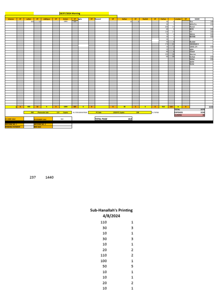 Daily Expenses Sheet1 | PDF