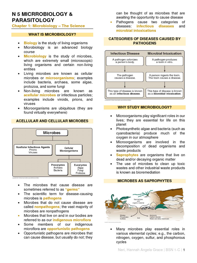 Microbioolgy and Parasitology Chapters 1-5 | PDF | Microbiology ...