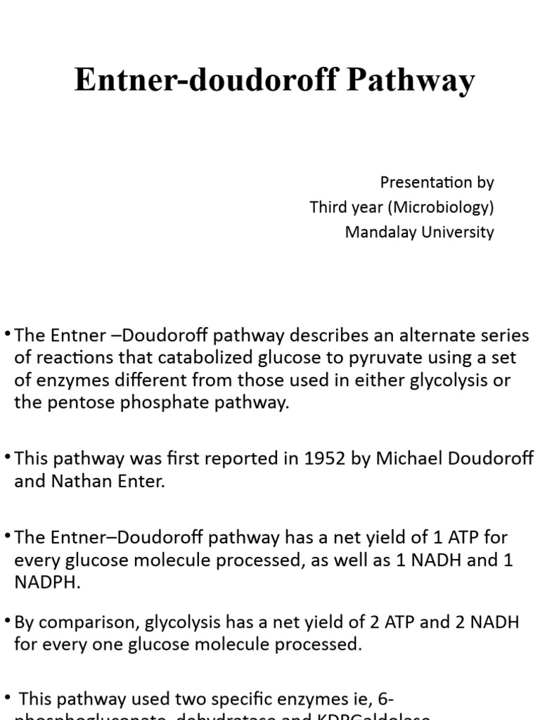 Entner Douroff Pathway | PDF | Glycolysis | Biomolecules