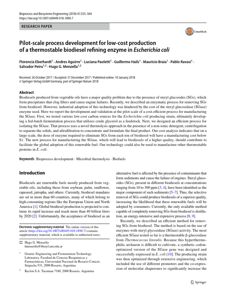Pilot-Scale Process Development For Low-Cost Production | PDF ...