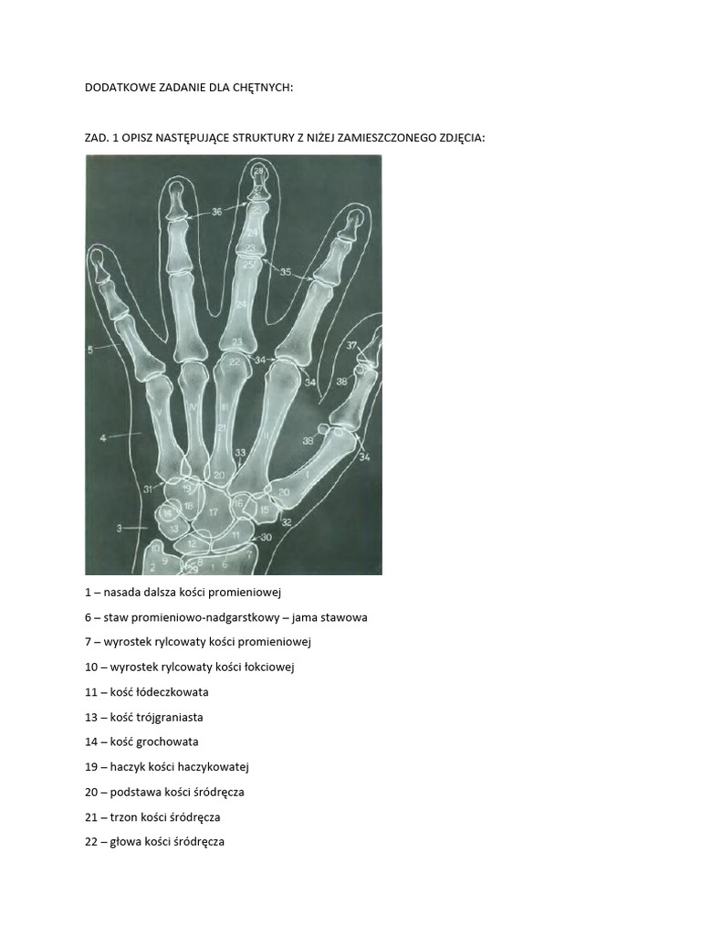 Anatomia Kosci Reka | PDF