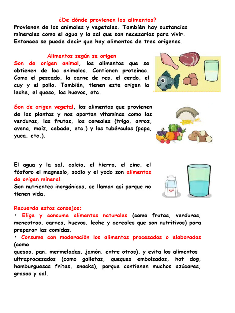 Orígenes de los Alimentos y Su Clasificación | PDF | Alimentos | Vegetales