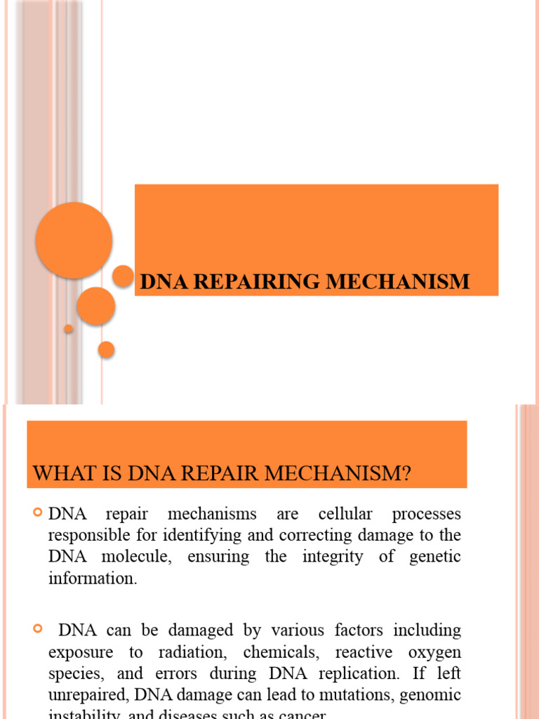 Lec 9 - DNA REPAIRING MECHANISM | PDF | Dna Repair | Dna