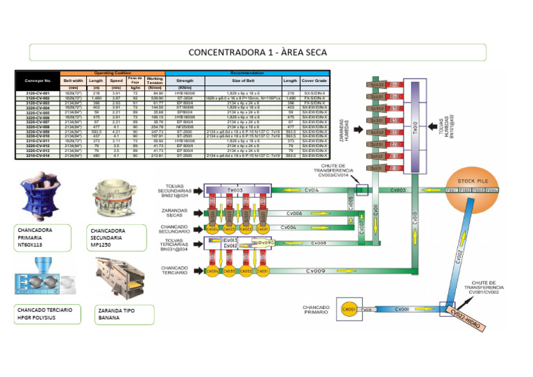 ESQUEMA Fajas C1 | PDF