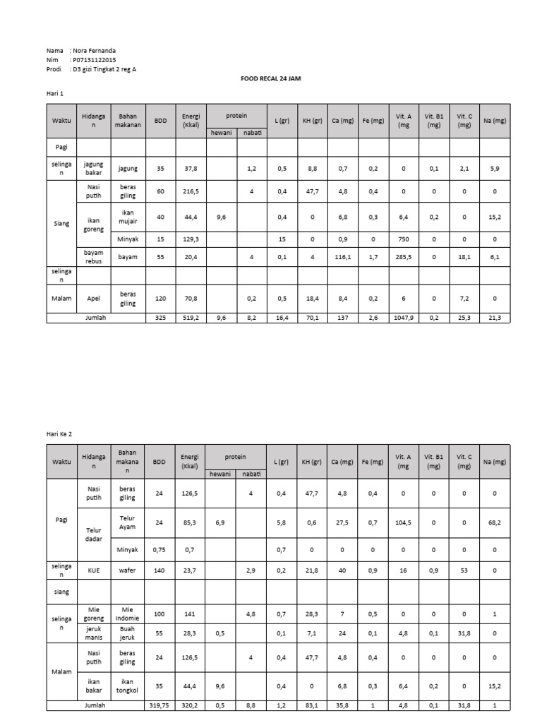 Nora Fernanda P07131122015 (Nutrisurvey) (AutoRecovered) | PDF