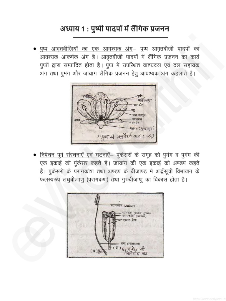 Class 12 Jeev Vigyan Chapter 1 Notes | PDF