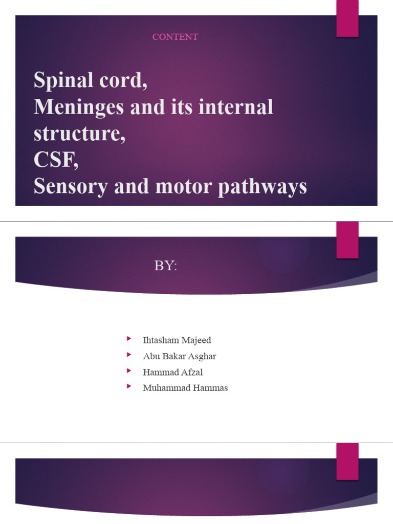 Spinal Cord | PDF | Spinal Cord | Cerebrospinal Fluid
