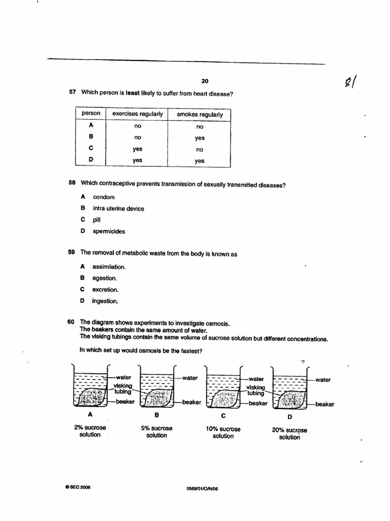 Sda 1.1 | PDF
