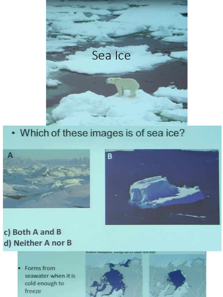 lecture_Ice_Sea_ice_additional_learning | PDF | Sea Ice | Antarctica