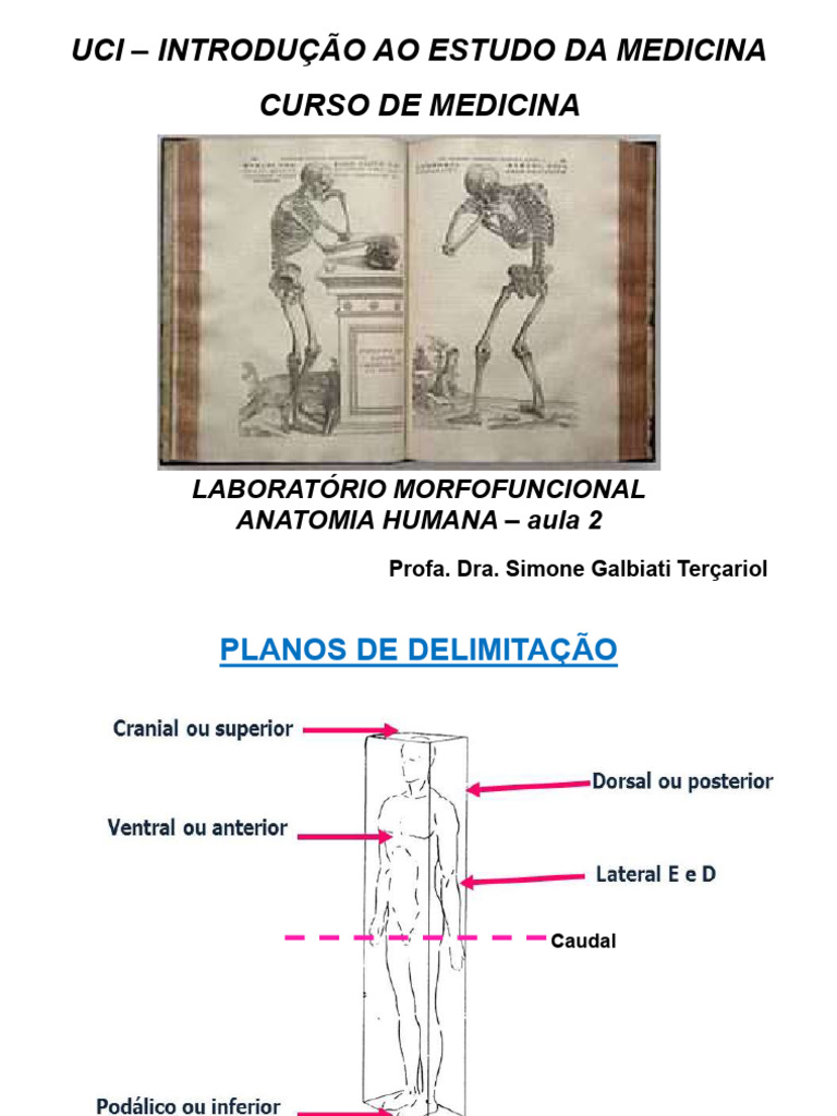 Aula 2 UCI Lab Anatomia Humana Medicina | PDF | Anatomia | Zoologia