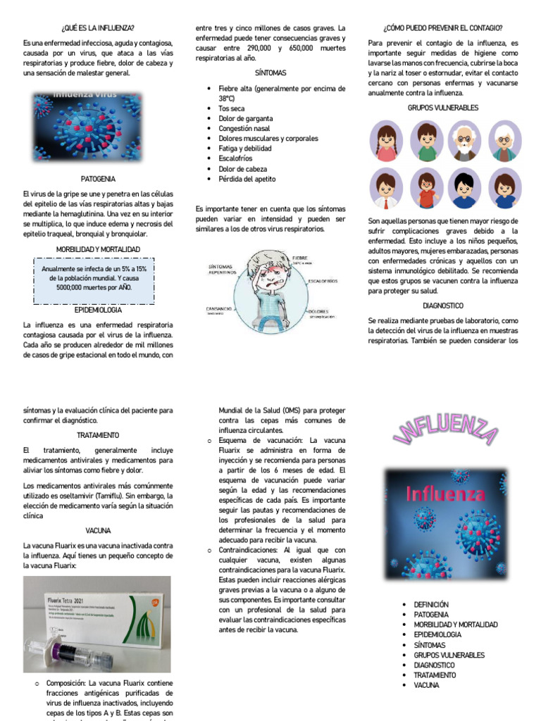 Qué Es La Influenza Triptico | PDF | Influenza | Causas de la muerte