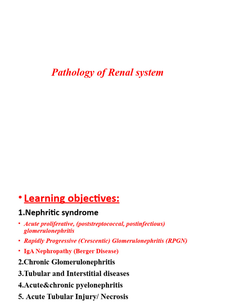 Pathology of Renal System | PDF | Urinary Tract Infection | Kidney