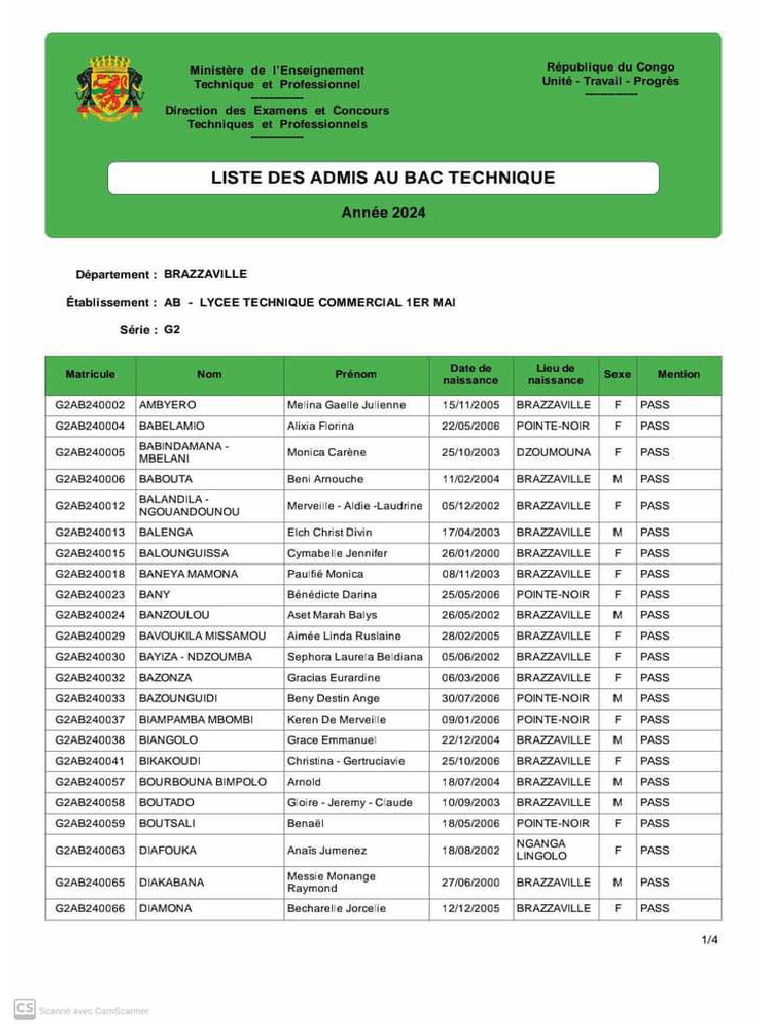 Liste Des Admis Bac Technique Et Professionnel 2024 | PDF