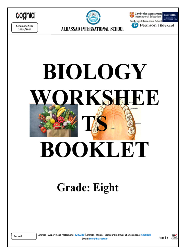 Grade 8 Biology Worksheets | PDF | Carbohydrates | Dna