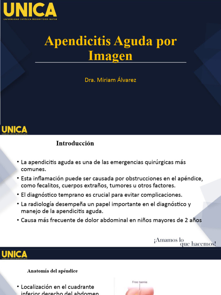 Apendicitis Aguda Por Imagen | PDF | Gastroenterología | Especialidades ...