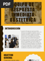 Funciones del Equipo ERIO en Obstetricia | PDF | Enfermería | Hospital